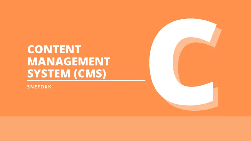Content Management System (CMS) - Snefokk Markedsføringstjenester
